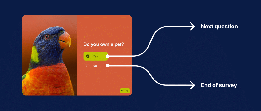 Survey Logic: A Guide to Effective Online Surveys | Survio® Blog